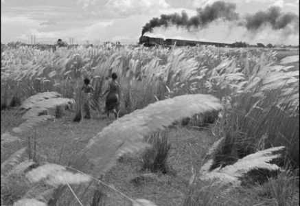 Pather Panchali (Song of the Little Road) | Satyajit Ray Org